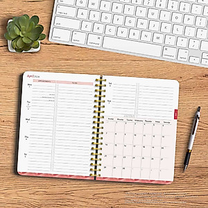 Busy Bees | 2024 6 x 7.75 Inch 18 Months Weekly Desk Planner | Foil Stamped Cover | July 2023 - December 2024 | Plato | Planning Stationery
