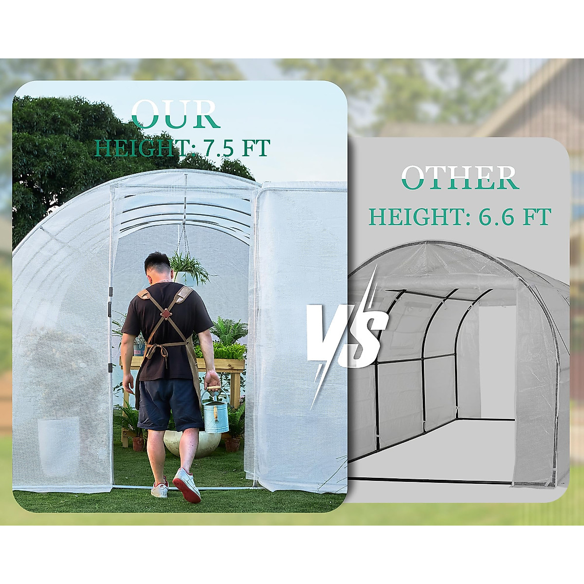 Papababe 20x10x7.5 FT Extra high Large Walk-in Greenhouse for Outdoors ...