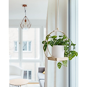 Dravmola Boho Macrame Plant Hanger - Gold, Indoor Use, Hanging Pot Not Included