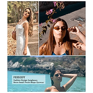 FEISEDY Fashion Designer Sunglasses Retro Small Petals Shape Arc Temple Design B2298(Brown)