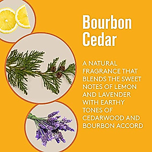 Barrel and Oak - All-In-One Body Wash, Men's Body Wash, Men's Soap for Hair, Face, & Body, Refreshing & Balanced Cleanser, Essential Oil-Based Scent, Cedarwood & Bourbon, Vegan (Bourbon Cedar, 16 oz)