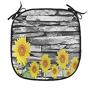 Lunarable Brick Wall Chair Cushion Pads Set of 4, Sunflowers Leafs on Stone Wall Background Floral Urban Style Print, Anti-Slip Seat Padding for Kitchen & Patio, 16"x16", Yellow Green Grey