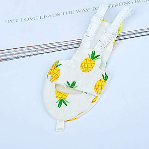 balacoo Pet Clothes Clothing Clothes Bird Diaper Flight Suit Nappy Pet Pee Pad Suitable for Parrot African Grey Budgie Parakeet Cockatoos (Size L, Random Style) Parakeet Bird Cage Parakeet Bird Cage