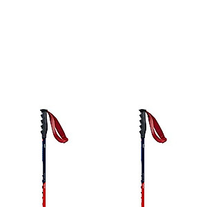 Swix Winter Sports Recreation Competition Alpine Skiing Racing Freeriding WC Pro Super-G Aluminum Poles, 125cm