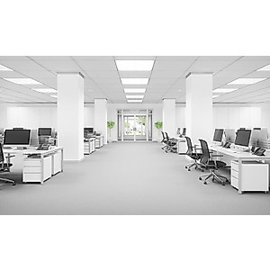 Comfort4U Orthopedic Memory Foam Seat Cushion for Car seat - Office Chair - Gaming Chair - Boat seat - Tailbone Cushion - Coccyx Cushion - Sciatica Pillow for Sitting (White, Mesh)