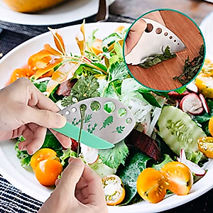 LUVCOSY Herb Keeper Set: 2 Pack Herb Saver+1 Pack Herb Scissors+2 Pack Herb Stripper, BPA-Free Plastic Herb Container for Cilantro, Mint & Asparagus, Keeps Fresh Herbs for 3 Times Longer