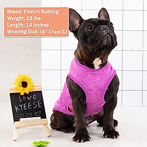 KYEESE 2 Pack Dog Shirts Quick Dry Soft Stretchy Sun Protection Dog T-Shirts with Reflective Label Tank Top Sleeveless Vest Dog Clothes for Small Medium Dogs, Large, Purple+Pink