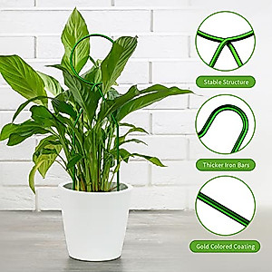 4 Pcs Small Metal Trellis for Potted Plants,Gold Trellis for Climbing Plants Indoor,Mini Trellis for Potted Plant Support Stake House Plant Trellis for Garden Potted,Hoya,Pothos,Flower,Monstera(Green)