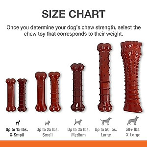Nylabone Basted Blast Original & Textured Bone Power Chew Toy for Dogs, Dog Toys for Aggressive Chewers, Bacon and Steak Flavor, X-Small - Up to 15 lbs, 2 Pack