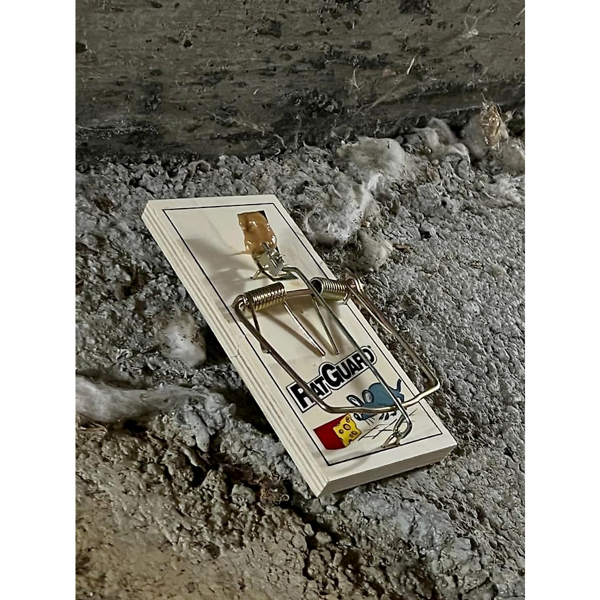 Harrier Hardware 12-Pack Rat Trap Bulk Set - Reliable Double Spring Mechanism with Sturdy Wood Base and Metal Plate for Indoor and Outdoor Quick Strong Snap