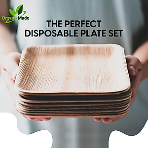 Organix Made - Disposable Palm Leaf Bamboo Plates, 6 Inch Square (50 Plates) - Appetizer and Dessert Dinnerware Plates - Biodegradable, Compostable, & Eco-Friendly Plates - Light & Sturdy