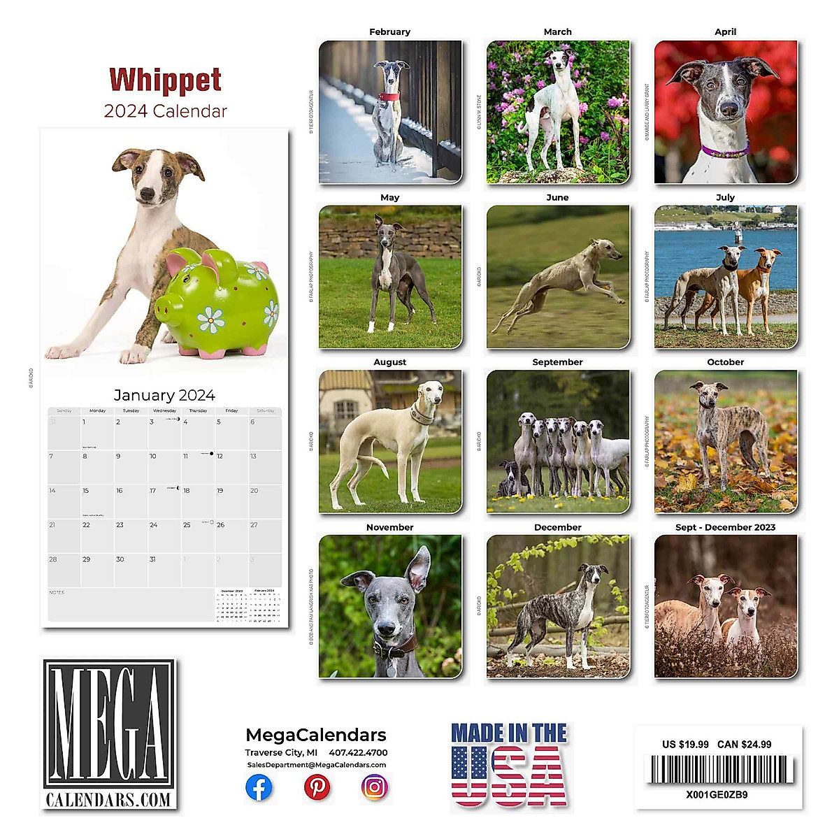 2023 2024 Whippet Calendar - Dog Breed Monthly Wall Calendar - 12 x 24 Open - Thick No-Bleed Paper - Giftable - Academic Teacher's Planner Calendar Organizing & Planning - Made in USA