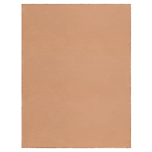 SAFAVIEH Faux Rabbit Fur Collection Area Rug - 8' x 10', Brown, Solid Design, Non-Shedding & Easy Care, Machine Washable Ideal for High Traffic Areas in Living Room, Bedroom (FRF976T)