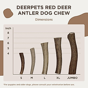 Premium Deer Antlers for Dogs – Natural Dental Chew for Aggressive Chewers – Long-Lasting Antler Chews, Odor-Free, Mess-Free, 1 Count (Jumbo)