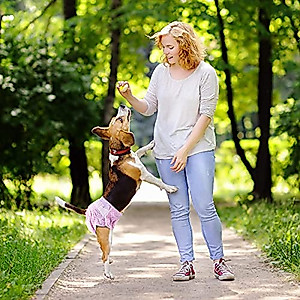 Pet Soft Dog Diapers Female - Disposable Dog Diapers, Cat Diapers for Female Cats, Puppy Diapers with Adjustable Foam Tail Hole 12pcs (XS,Pink)