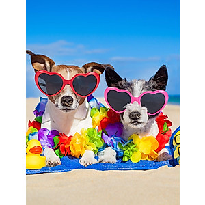 Blulu 12 Pieces Neon Colors Heart Shape Sunglasses for Women Party Favors and Festival (Mixed Color)