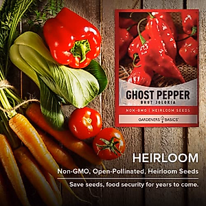 Ghost Pepper Seeds for Planting Spicy Hot - Heirloom Non-GMO Hot Pepper Seeds for Home Garden Vegetables Makes a Great Plant Gift for Gardening by Gardeners Basics
