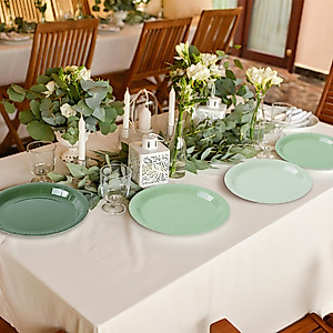 AimFun Sage Green Paper Plates Gradient Green Party Plates 7”Disposable Round Dessert Plates for Birthday Wedding Bridal Baby Shower Christmas Party Supplies 4 Colors (48, Sage Green)