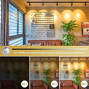 MR16 Halogen Bulb 35W 12V Halogen Light Bulbs 2 Pin GU5.3 Base Dimmable Spotlight with Clear Glass Cover for Landscape Lights, Track Lights, Desk Lamps, 2700K Warm White, 6 Pack