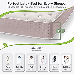 Eco Terra | Natural Latex | Luxury Hybrid Mattress | Medium Firm Mattress with Encased Coil Spring | King