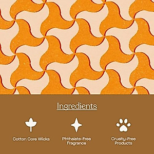 Anecdote 'Mid-Century Modern' Coconut Soy Wax Candle Tumbler | Premium Hand Poured & Long Burning | Amber & Vanilla Scent | Phthalate-Free | for Home, Office, Gift - 9 Oz