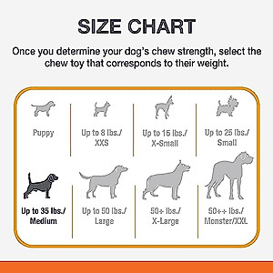 Nylabone Barbell Power Chew Durable Dog Toy Medium up to 35 lbs.