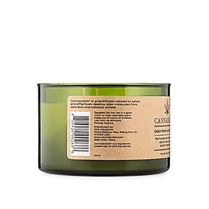 Cannabolish Odor Removing 3-Wick Candle, 16 oz