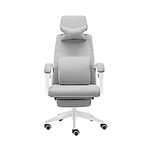 ZLBYB Office Chair Ergonomic Desk Chair Mesh Computer Chair Back Support Mid Back Executive Chair Task Rolling Swivel Chair for Back Pain, Grey