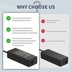 19V AC DC Adapter Charger for LG Electronics 19" 20" 22" 23" 24" 27" 32" Monitor 24LJ4540 24M47H-P 24MP55HQ; DA-48F19 DA-65G19 ADS-40FSG-19 DA-65F19 PS236V IPS236-PN E2750VR-SN Power Supply Cord