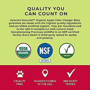 Hyland's Naturals Organic Apple Cider Vinegar Blast Gummies, Digestive Health Support, 60 Vegan ACV Gummies (30 Days)