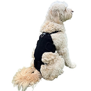Labra Dog Canine K9 Back Brace - IVDD Spine Pain & Spinal Injury, Arthritis, Bulging Discs Brace for Corgis, Dachshund, Post Surgery Recovery, Rehab, Inflammation - Small