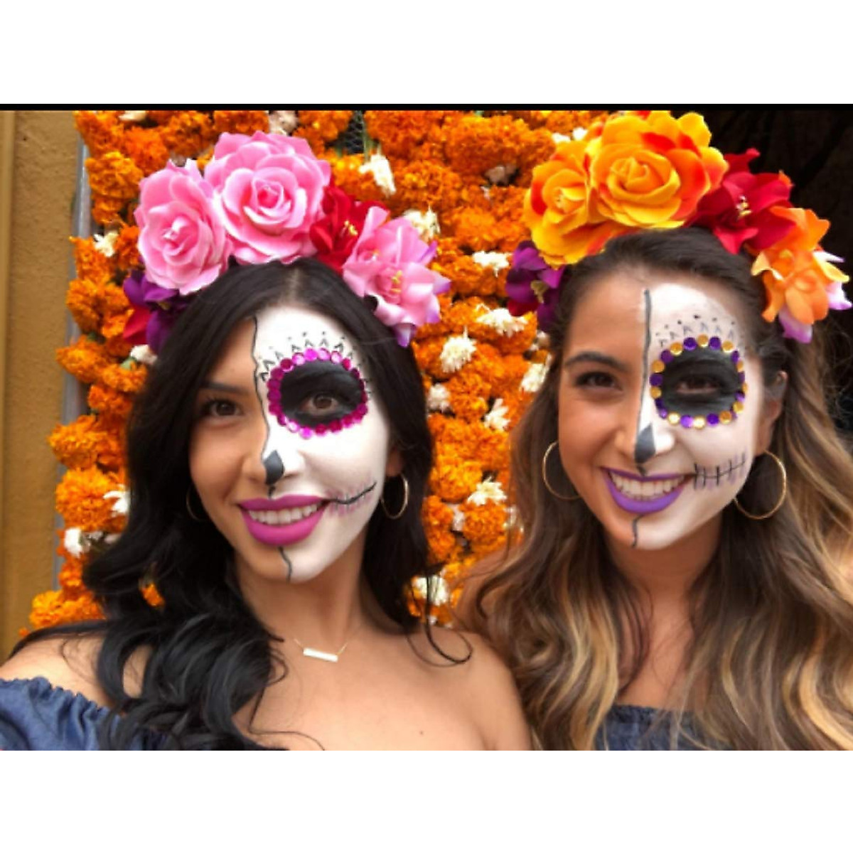 DreamLily Day of The Dead Headband Costume Rose Flower Crown Mexican Headpiece BC40 (Mexican Festival Crown Pink)