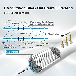 Waterdrop TST-UF 0.01μm Ultra-Filtration Under Sink Water Filter, Stainless Steel, 5X Service Life,Remove 99.99% of Contąminants Larger Than 0.01μm, USA Tech (3 Filter Included)