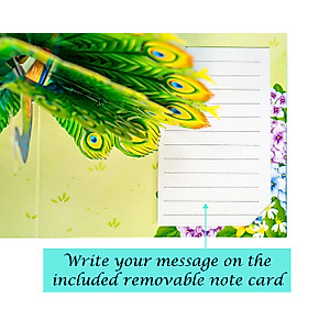 WOWPAPERART Peacock - 3D Pop Up Greeting Card For All Occasions - Love, Birthday, Christmas - Message Note for Personalized - Thick Envelope - 5x7 In