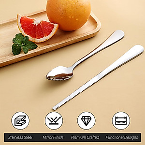 Hiware 4-piece Grapefruit Spoons, Stainless Steel