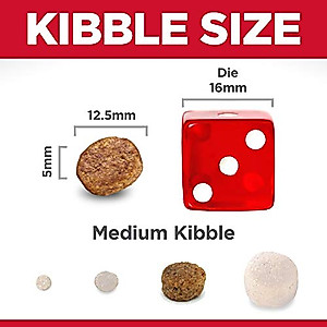 Hill's Science Diet Adult 7+ Senior Vitality Dry Dog Food, 21.5 lb. Bag