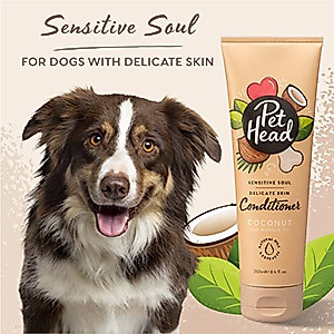 PET Head Dog Conditioner 250ml, Sensitive Soul, Coconut Scent, Conditioner for Dogs with Sensitive Skin, Professional Grooming, Vegan, Hypoallergenic, Natural, ph-Neutral, Gentle Formula for Puppies