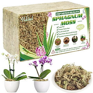 Halatool 3.3LBS Natural Sphagnum Moss for Plants 60 QT Premium Peat Moss Dried Long Fiber Orchid Moss for Orchid Repotting Carnivorous Succulents Garden Flowers Crafts Terrarium and Reptiles