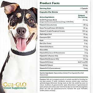 Ocu-GLO PB Vision Supplement for Medium & Large Dogs – Easy to Administer Powder Blend with Lutein, Omega-3 Fatty Acids, Grape Seed Extract & Antioxidants to Promote Eye Health, 90ct Powder Capsules