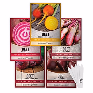 Beet Seeds for Planting Home Garden - 5 Variety Pack Detroit Dark Red, Golden Detroit, Early Wonder, Cylindria and Chioggia Great for Spring, Summer, Fall, Heirloom Veggie Seeds by Gardeners Basics