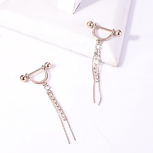 Kinsing, 316L Surgical Steel CZ Body Nipple Piercing Jewelry 14G Dangly Tassels Nipple Rings Retainer for Women Girls 12Inch 2 Pack (Rose Gold)