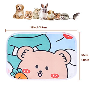OLDCAT 4PCS Guinea Pig Beddings - Washable Guinea Pig cage Liners, Waterproof Reusable & Anti Slip for Small Animals Rabbit Hamster Rat