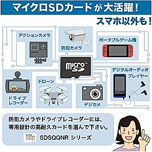 Lexar Professional 633x 1TB SDXC UHS-I Card (LSD1TCBNA633) , Black