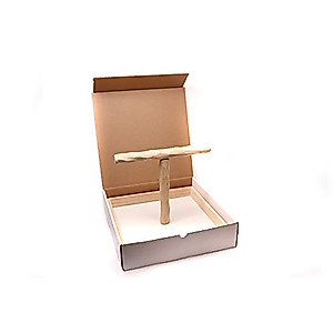 Deluxe Large Tabletop NU Perch - Parrot T Perch Stand Large