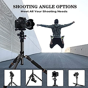 ZOMEi Camera Tripod 62" Light Weight DSLR Tripod with Ball Head Quick Release Plate and Carrying Case (Aluminum Tripod)