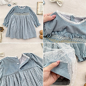 Curipeer Baby Girls Long Sleeve Lace Dress Smock Toddler Velvet Tulle Dress for Autumn and Spring Blue 12 Months