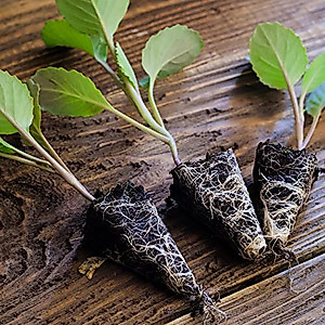 2BFFS.COM Seedling Tray- Germination Kit-Organic Biodegradable Pea Pots Starter Kit, 10PK Peat Pots Seed Starter Trays, 120 Cells. Organic Plant Starter Kit with 12 Plant Labels