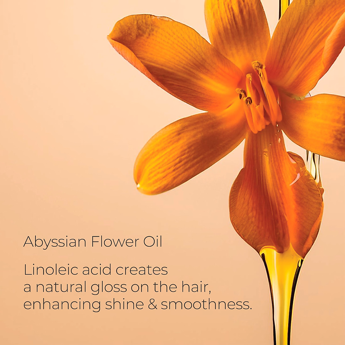 L'ANZA Keratin Healing Oil Lustrous Finishing Spray, Boosts Shine and Volume While Deeply Hydrating the Hair from Roots to Tips, For a Grease-free, Frizz-free, Relaxed Hair