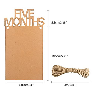 1st Birthday Baby Photo Banner for Newborn 12 Month Photo Prop,Kraft Photo Banner,First Birthday Decorations Boy or Girl Monthly Milestones Garland