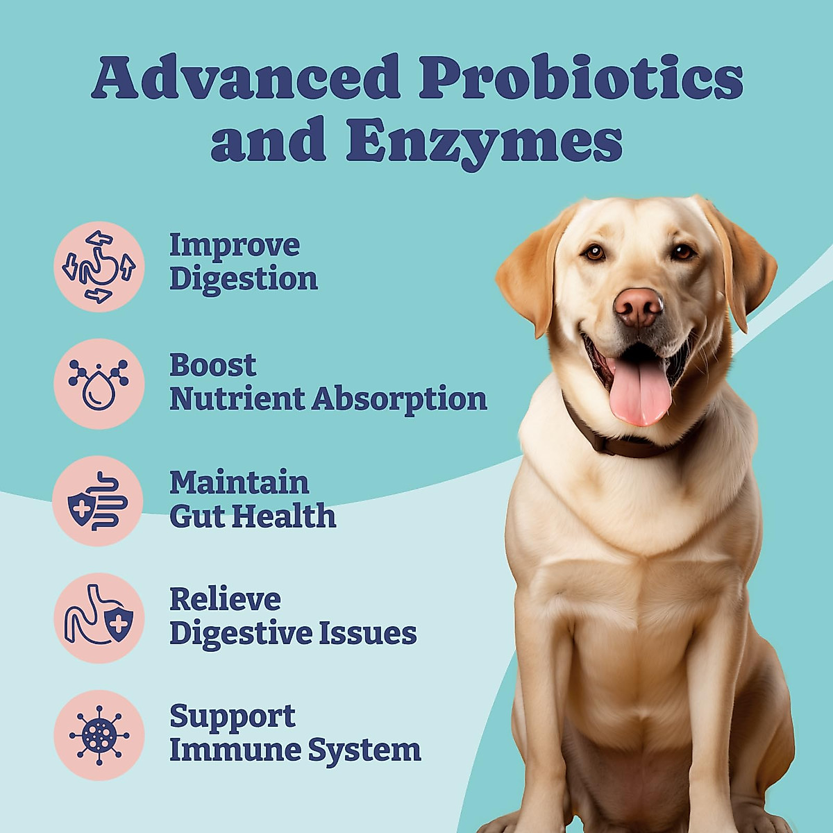 Probiotics for Dogs, Dog Probiotics and Digestive Enzymes, Pre & Probiotics Over 1 Billion CFUs, for Gut Health and Digestive Health, Yeast Balance, Itchy Skin Relief, Immune Support, 90 Soft Chews